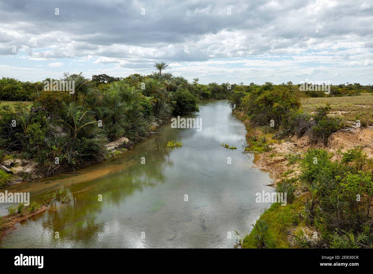 Vegetation of south america hi-res stock photography and images - Alamy