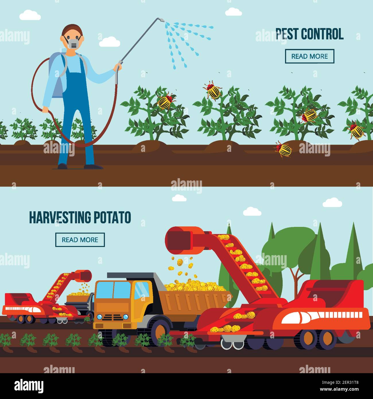 Potato cultivation flat compositions with pest control and agricultural ...