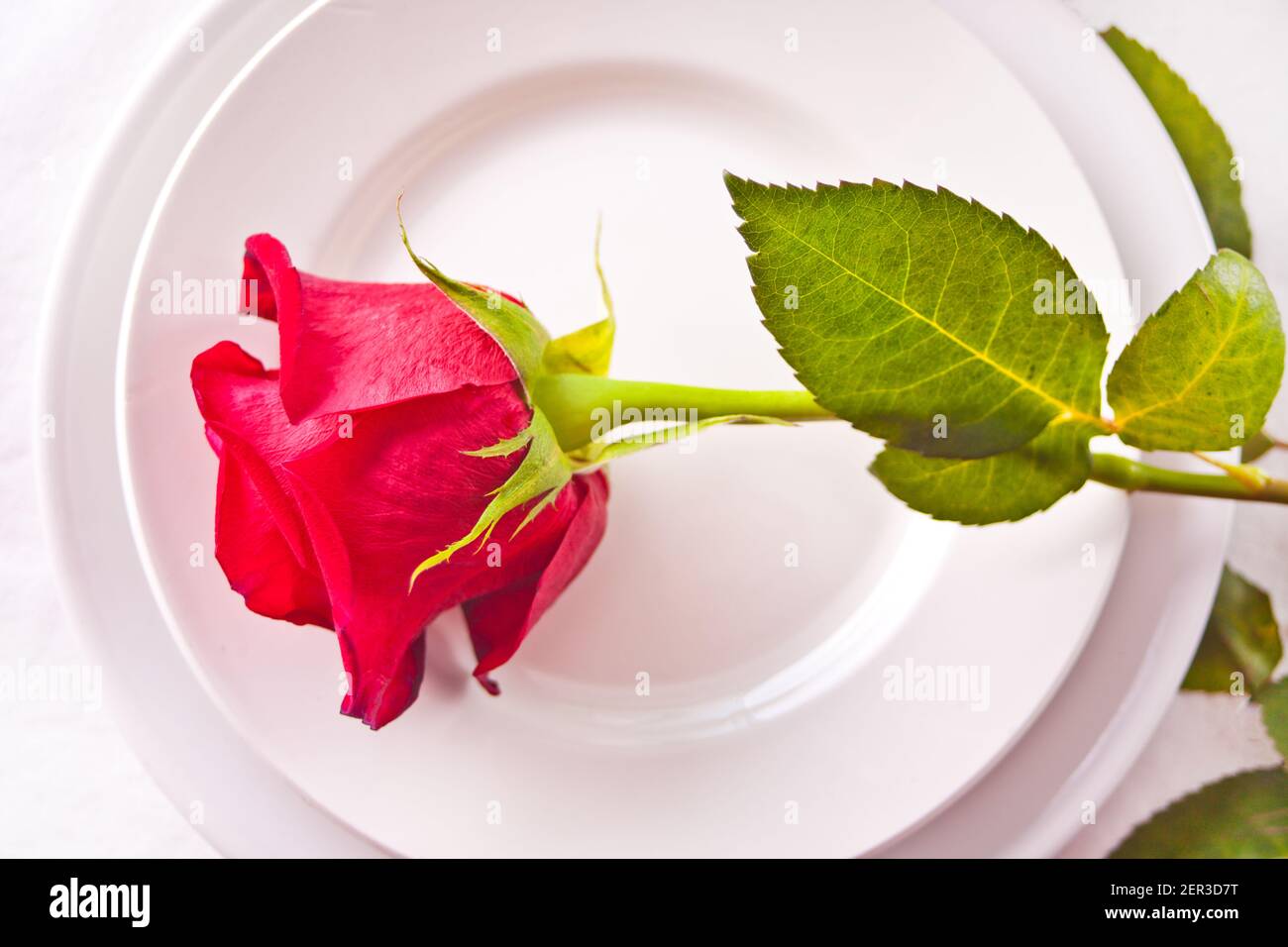 Romantic restaurant table setting for two with roses on the plate Stock ...