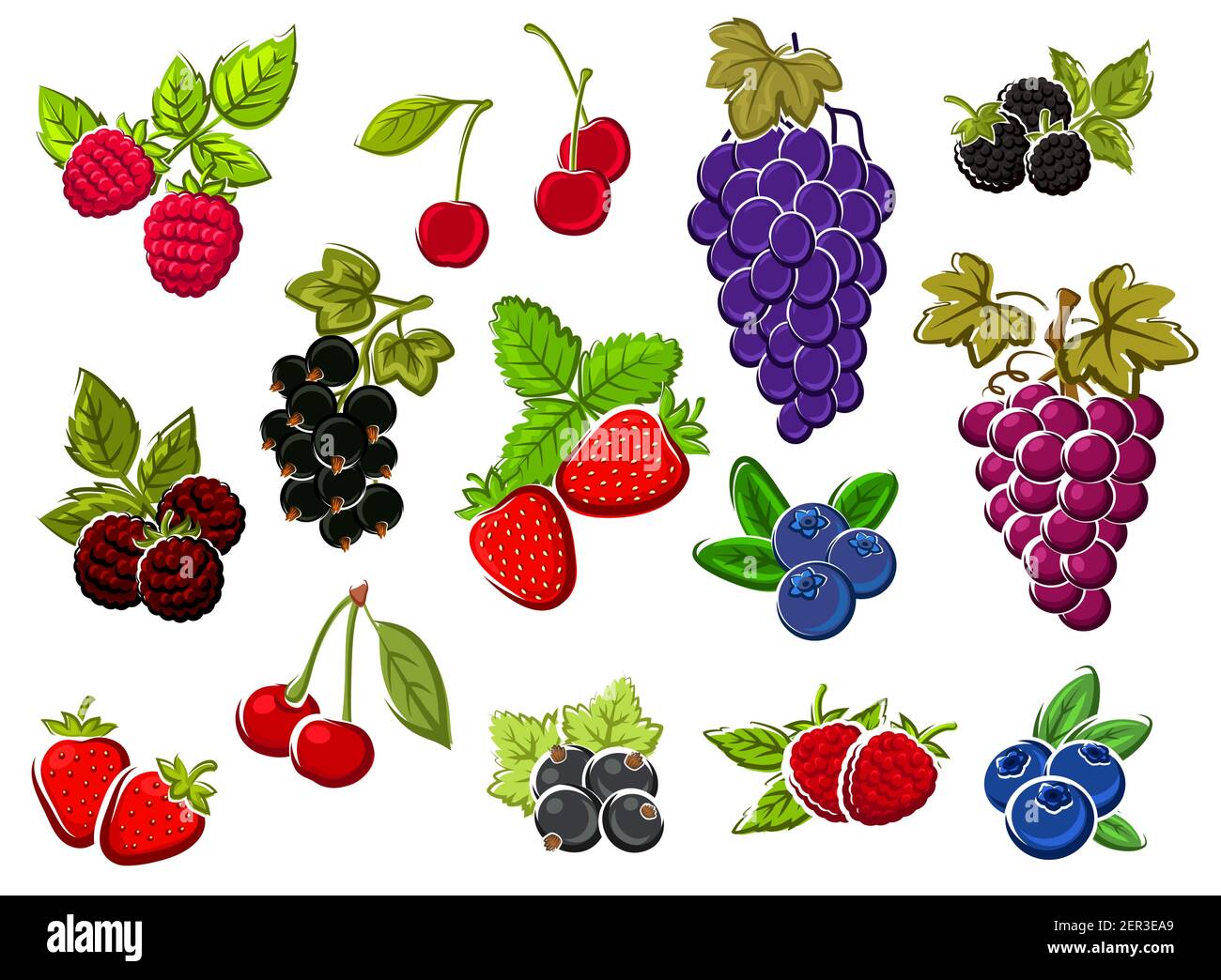 Wild and garden berries isolated sketches. Bunch of grapes, cherry and ...