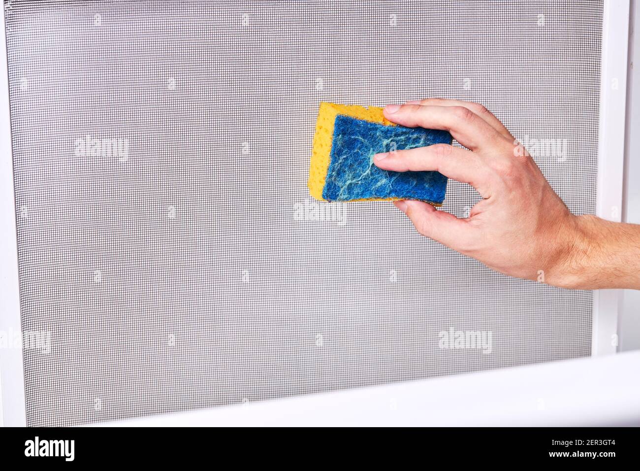 cleaning and washing dusty mosquito net screen for window. housework ...
