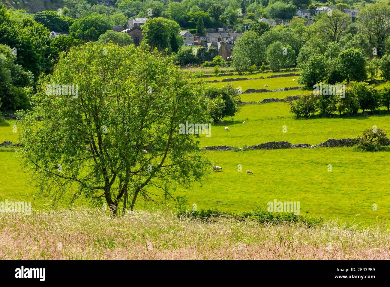 June middleton hi-res stock photography and images - Alamy