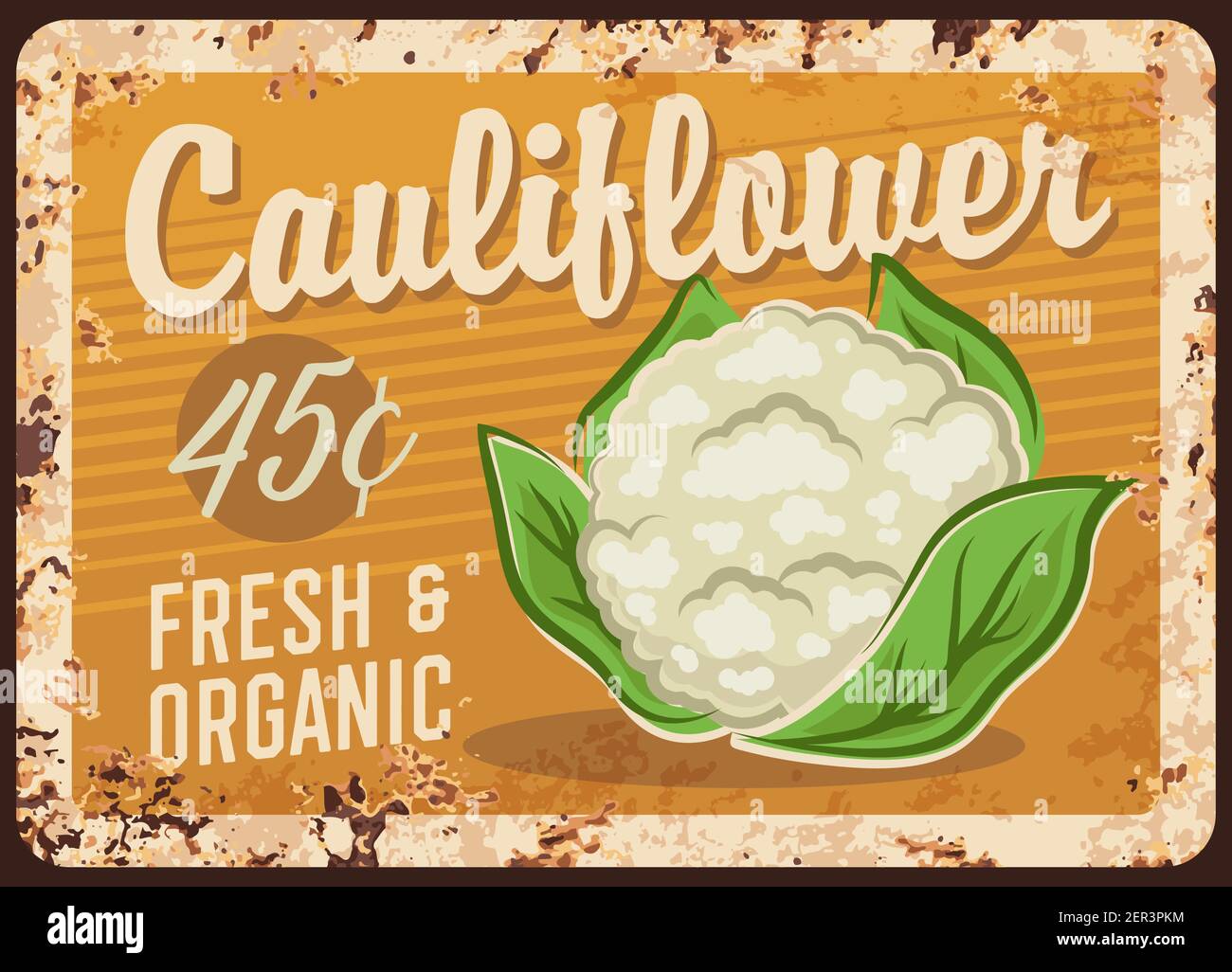 Cauliflower, vegetable metal plate rusty, cabbage price poster, vector ...