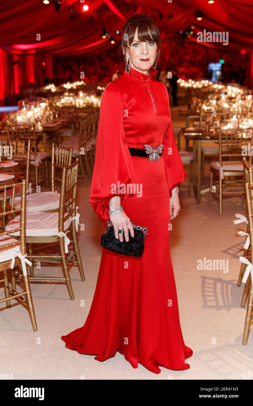 Allison Speer attends Mid-Winter Gala 2018 Sponsored by CARTIER on ...