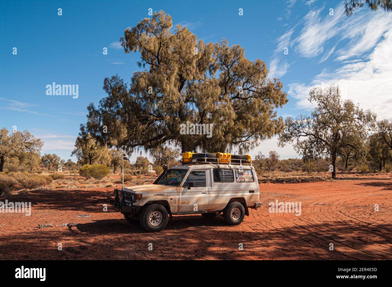 TREES AND BUSHES, RED CENTRE, NORTHERN TERRITORY, AUSTRALIA Stock Photo ...