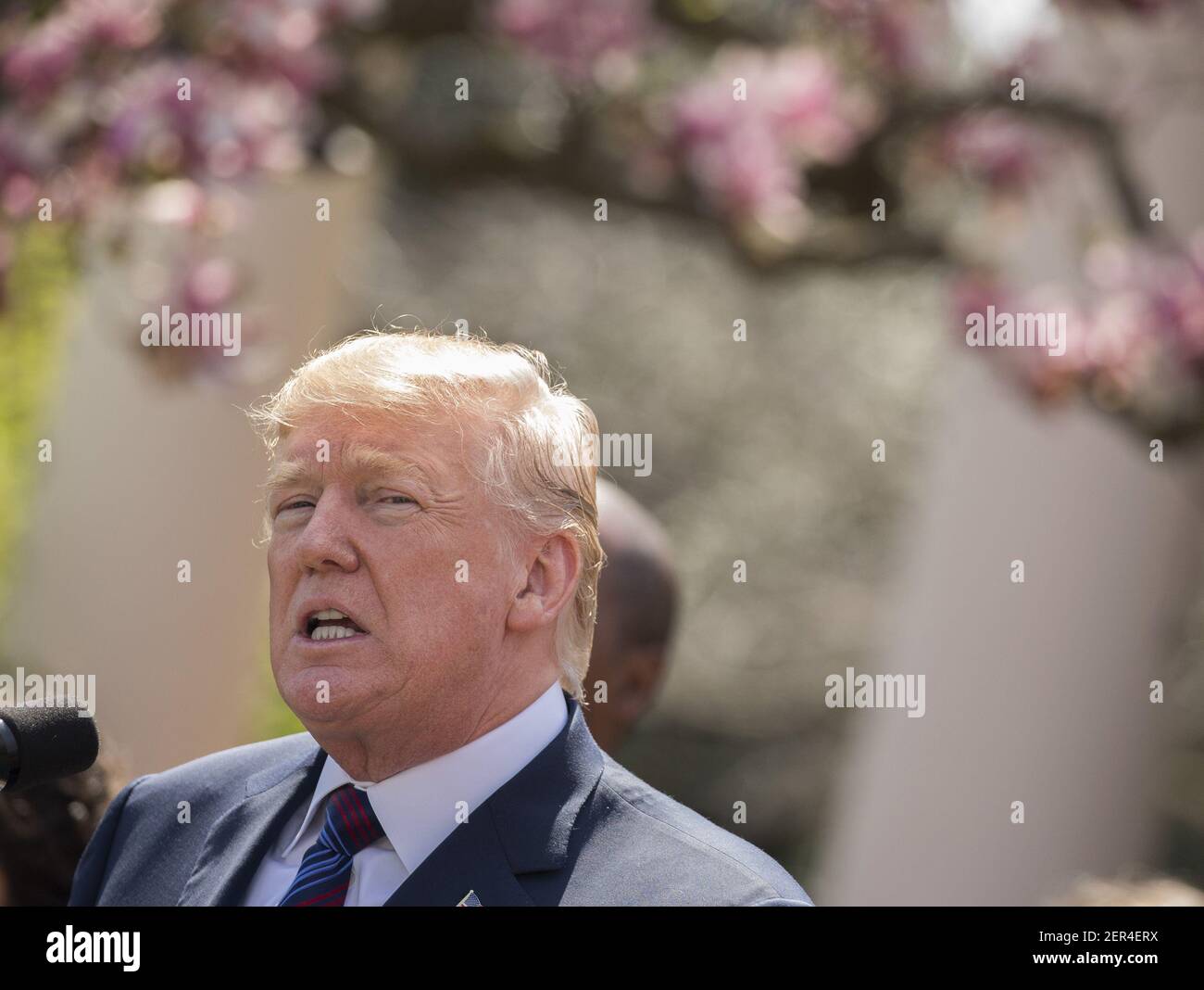 12 April 2018- Washington DC- U.S. President Donald J. Trump speaks at ...