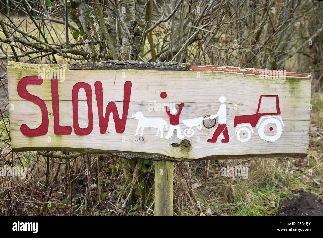 Rustic wooden sign to go slow with pictures of dog, child playing, man ...