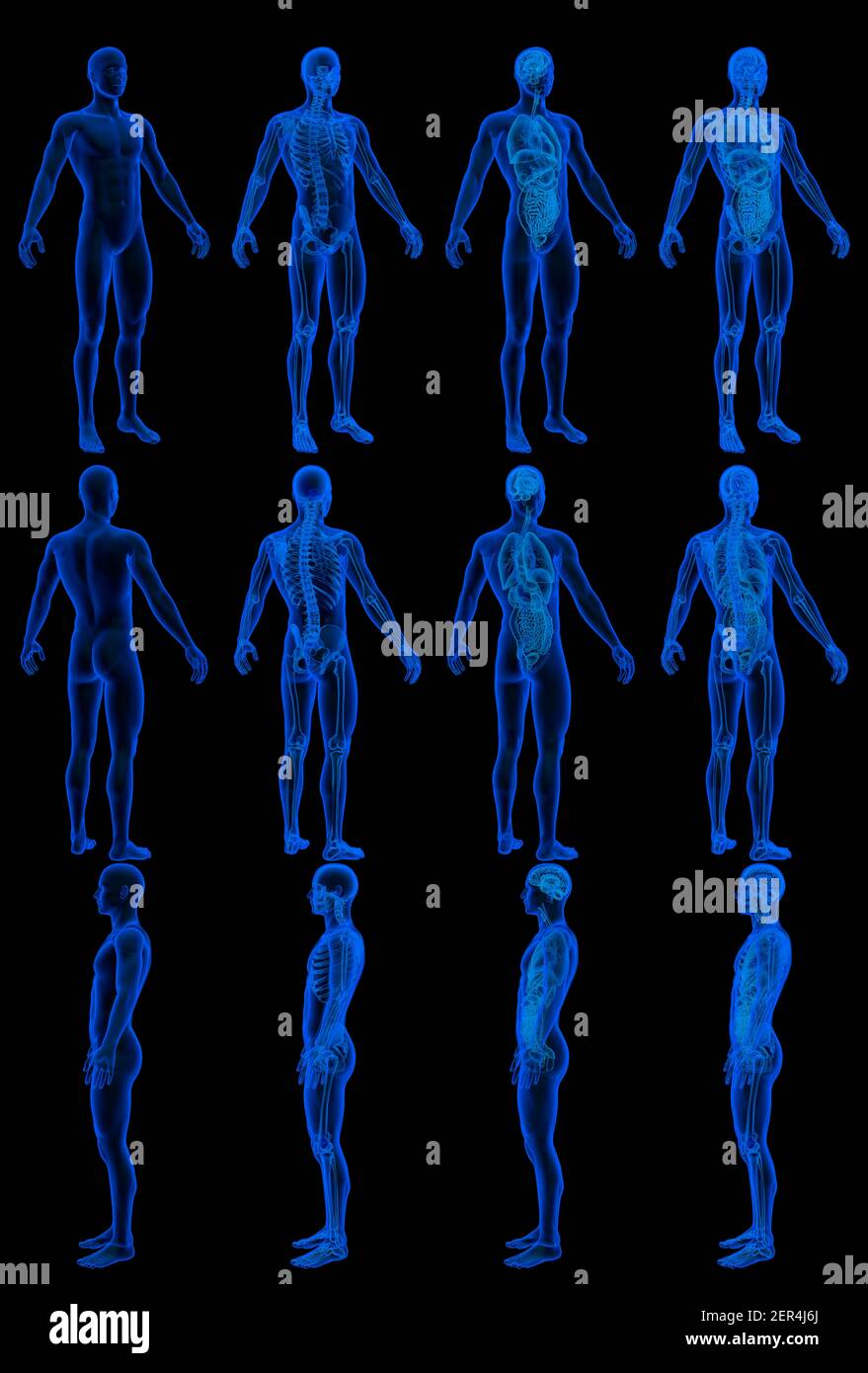 12 high resolution holographic xray renders in 1 image, man body with ...