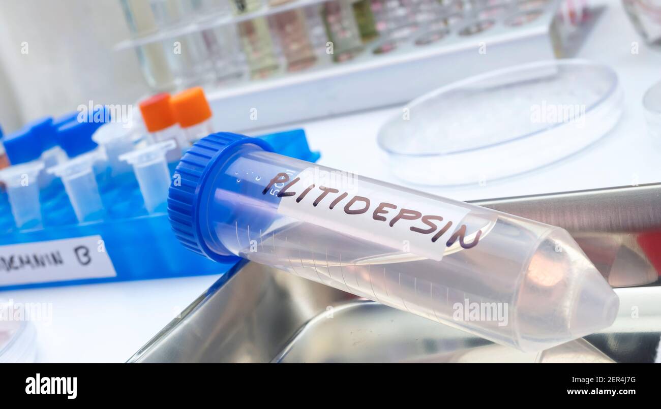 vial with antiviral chemical compound plitidepsin, This formulation has ...