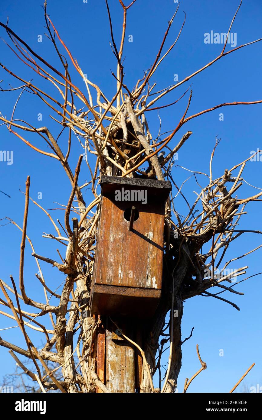 Birdhouses and germany hi-res stock photography and images - Alamy
