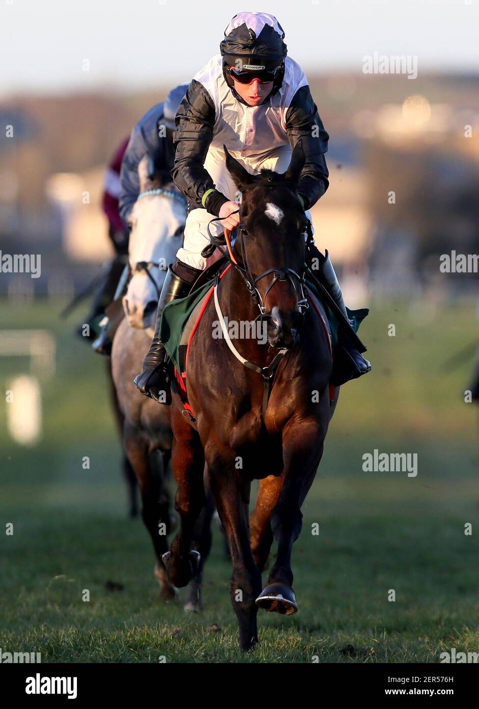 Gerri colombe horse hi-res stock photography and images - Alamy
