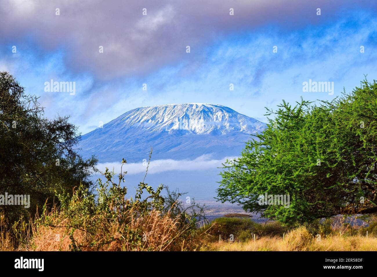 view of kilimandjaro mount Stock Photo - Alamy