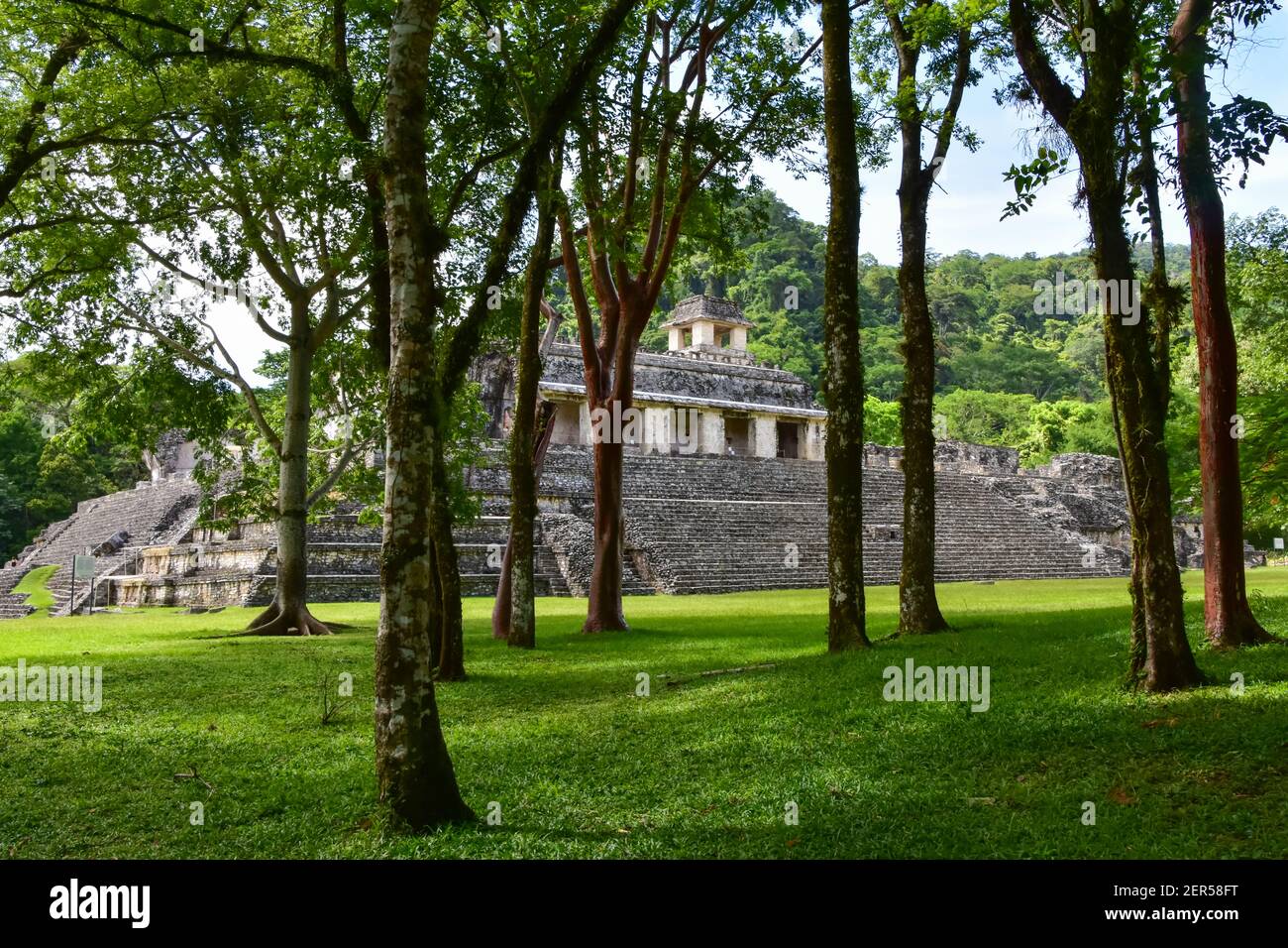 The palace at Palenque, a Maya city state in southern Mexico and a ...