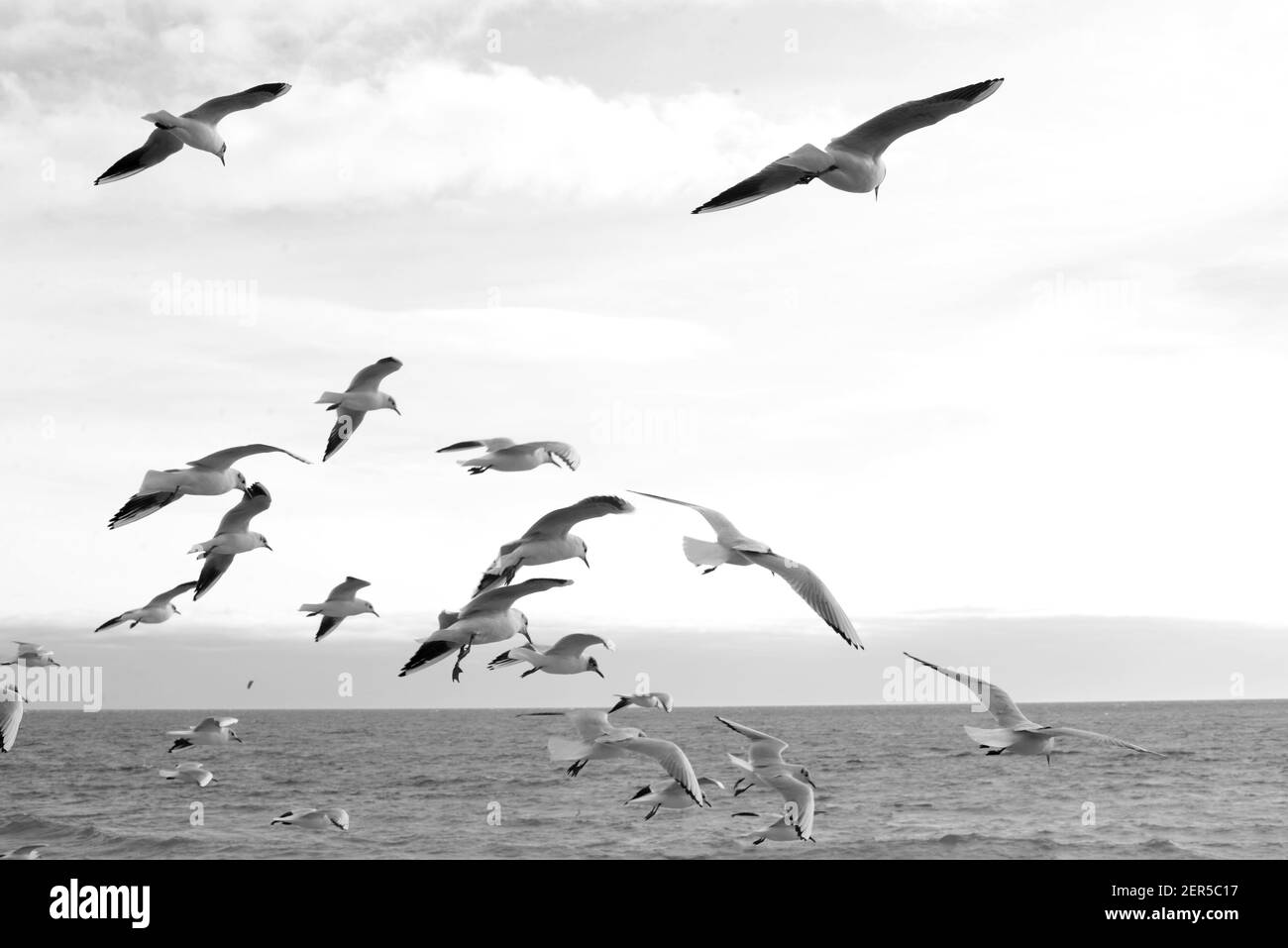 Carnival giant Black and White Stock Photos & Images - Alamy