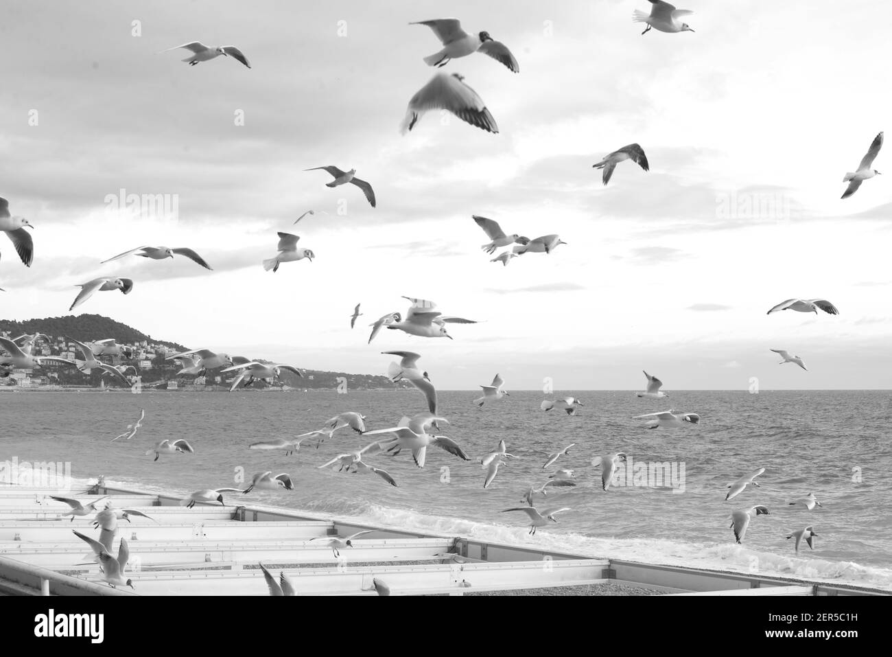 Carnival giant Black and White Stock Photos & Images - Alamy