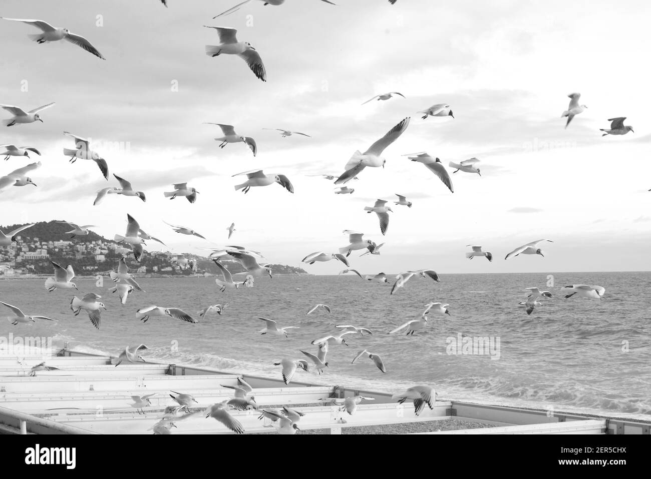 Carnival giant Black and White Stock Photos & Images - Alamy