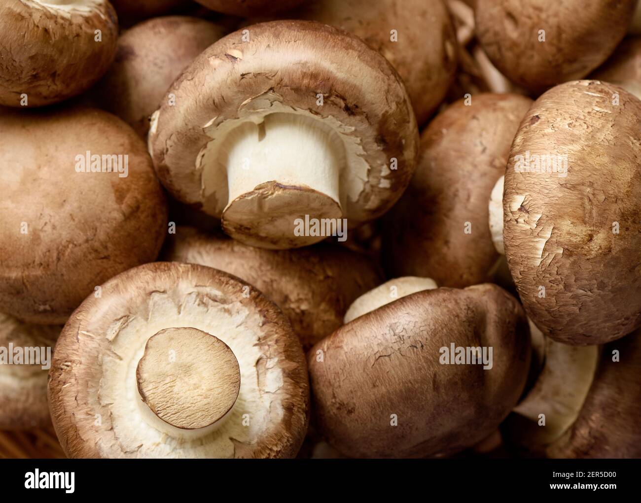 Fresh champignon mushrooms, macro, side view, background, shallow depth ...