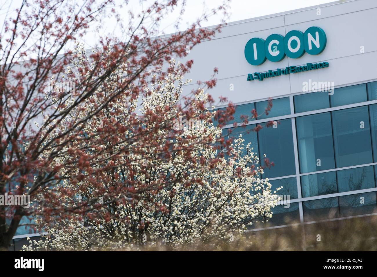 A logo sign outside of a facility occupied by ICON Plc., in North Wales ...