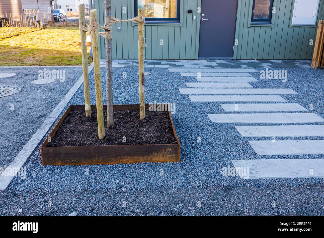 Beautiful view of new planted tree and street paving slabs in front of ...