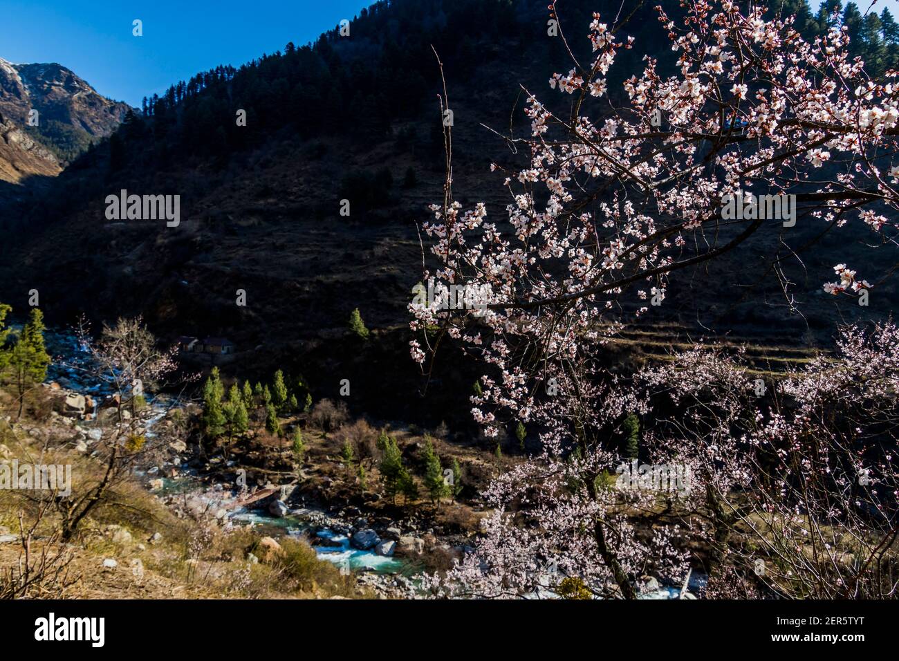 Parvati dam reservior in Barshaini Stock Photo - Alamy
