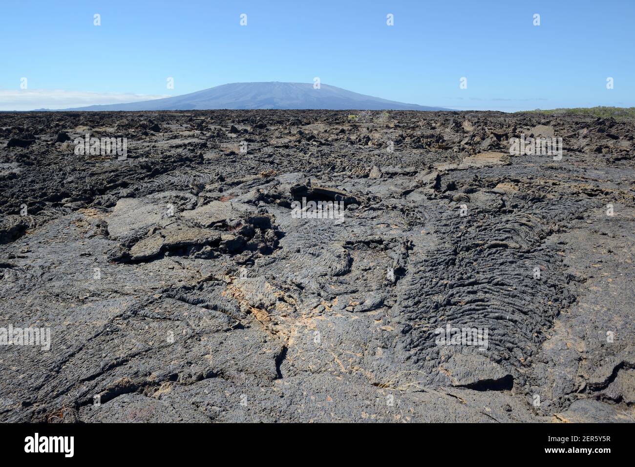 Punta moreno hi-res stock photography and images - Alamy