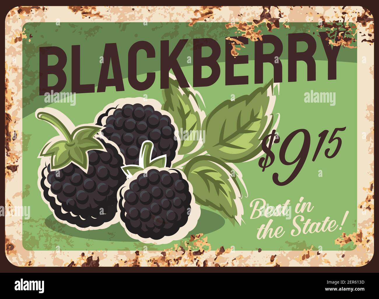 Blackberry rusty metal plate, vector vintage rust tin sign with ripe ...