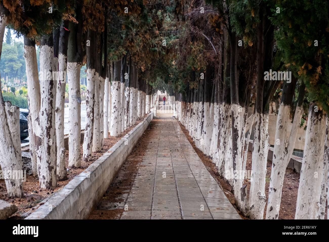 Long straight sidewalk hi-res stock photography and images - Alamy