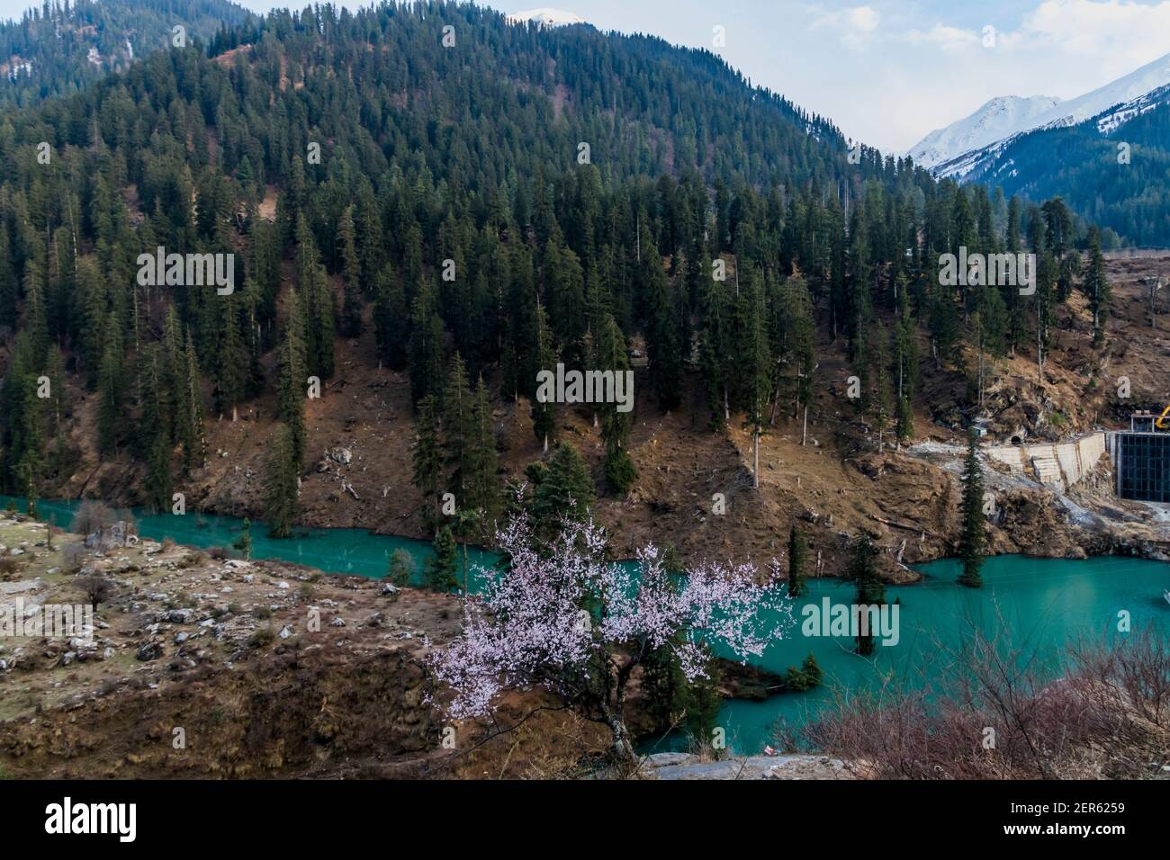 Tosh Parvati Valley High Resolution Stock Photography and Images - Alamy