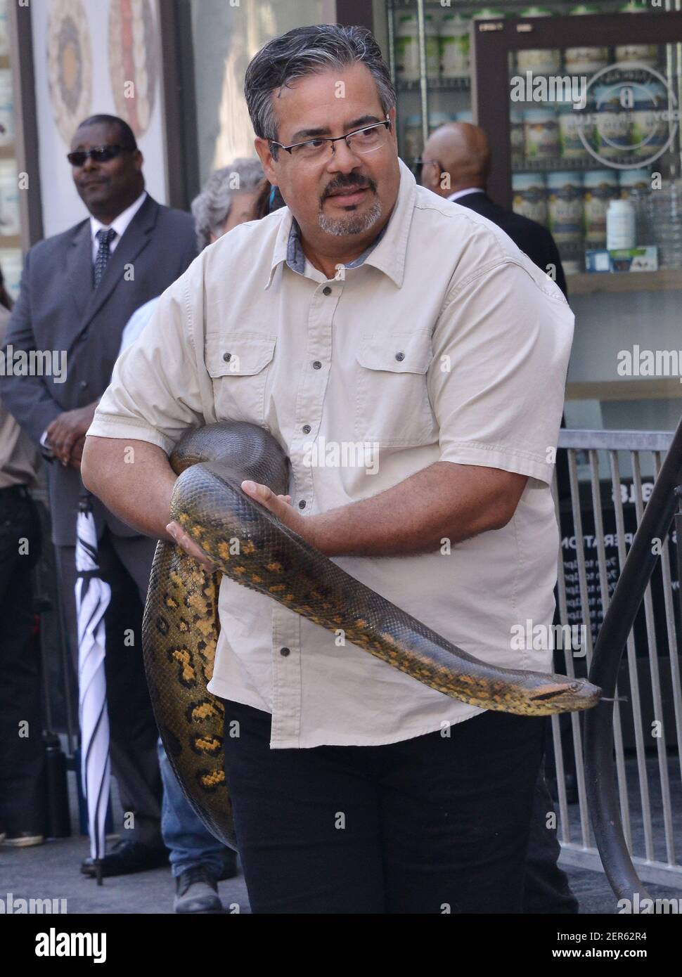 A snake at the Steve Irwin Posthumous Star On The Hollywood Walk Of ...