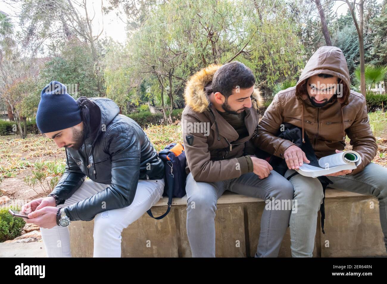 Arabic muslim friends at university studying togther Stock Photo - Alamy