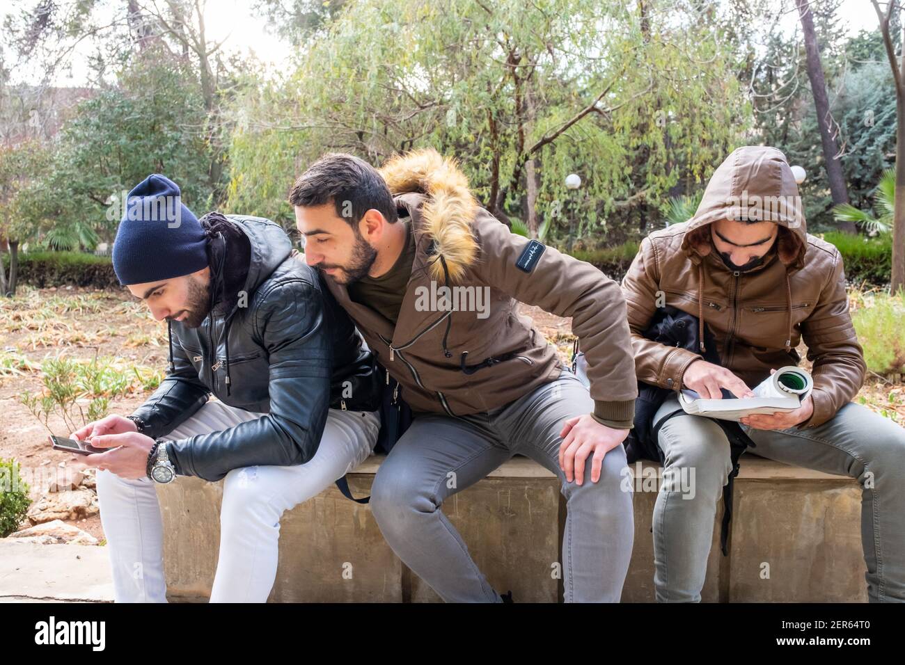 Arabic muslim friends at university studying togther Stock Photo - Alamy
