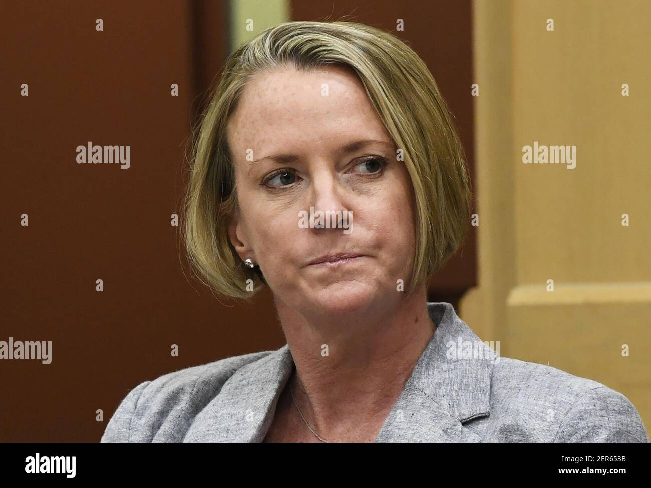 Assistant Public Defender Melisa McNeill, attorney for Florida school ...