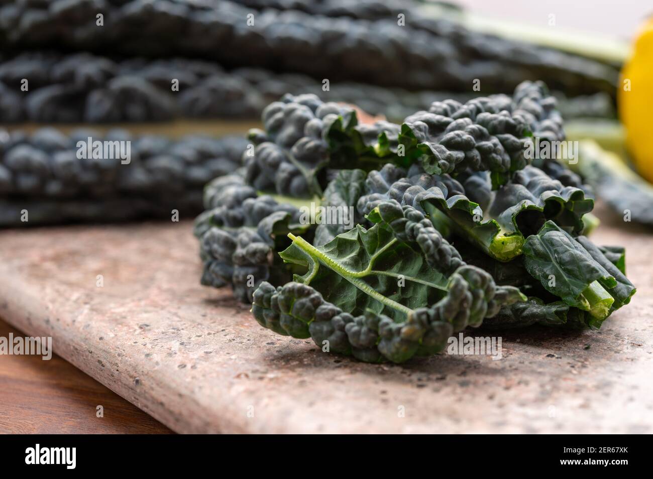 Vegetarian cooking with black flat leaves of cavolo nero tuscan cabbage ...