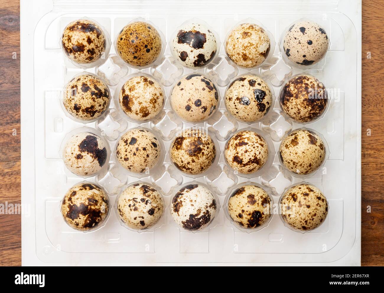 Fresh small spotted partridge eggs in tranparent plastic container ...