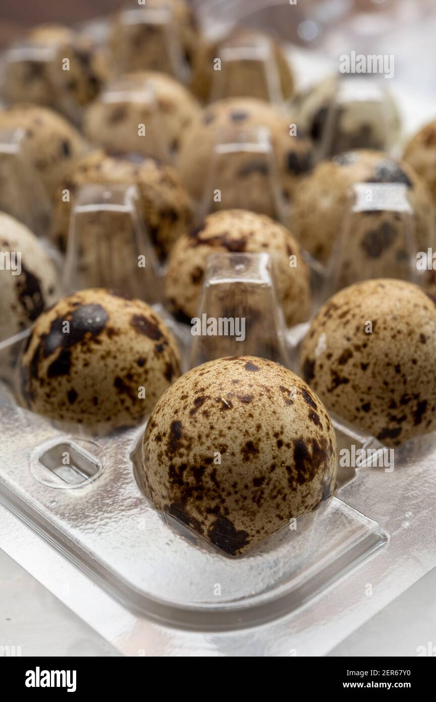 Fresh small spotted partridge eggs in tranparent plastic container ...
