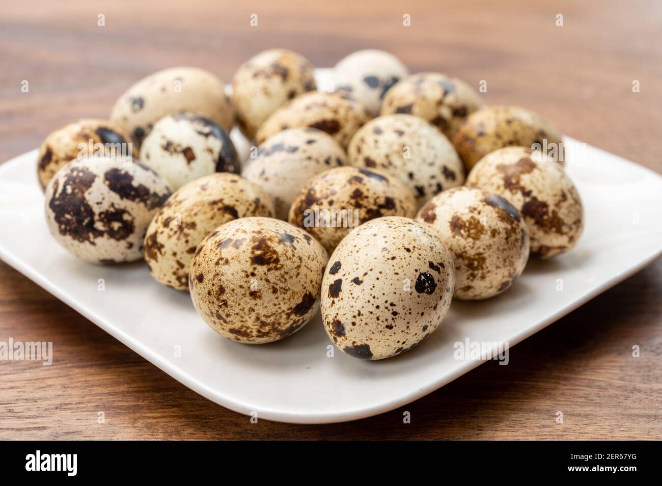 Fresh small spotted partridge eggs on white board close up Stock Photo ...