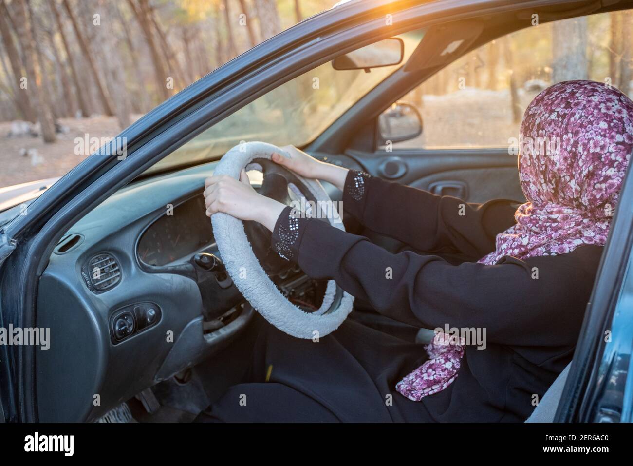 Professional muslim woman driving her car Stock Photo - Alamy