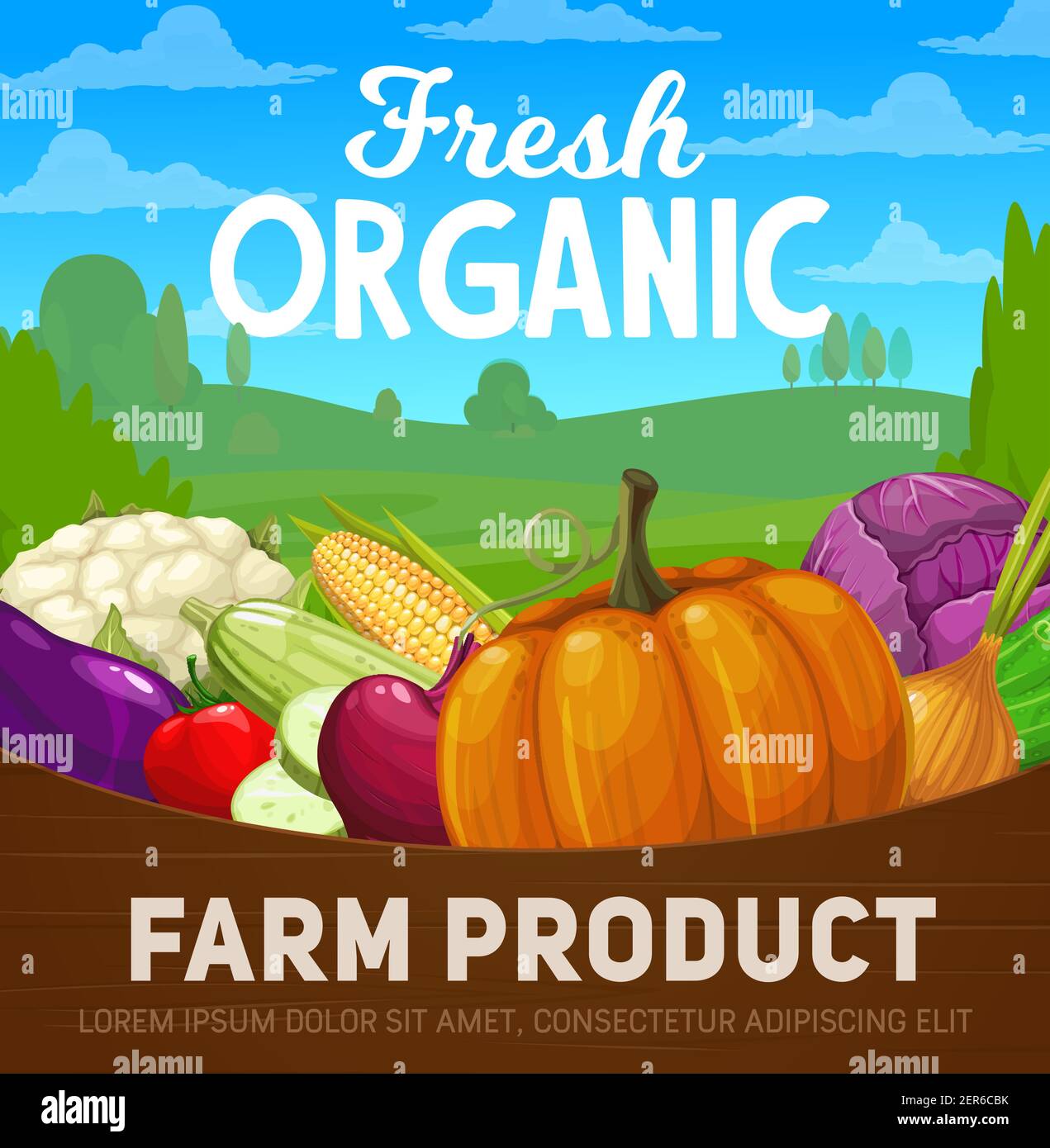 Fresh farm vegetables vector poster with organic food products. Cartoon ...