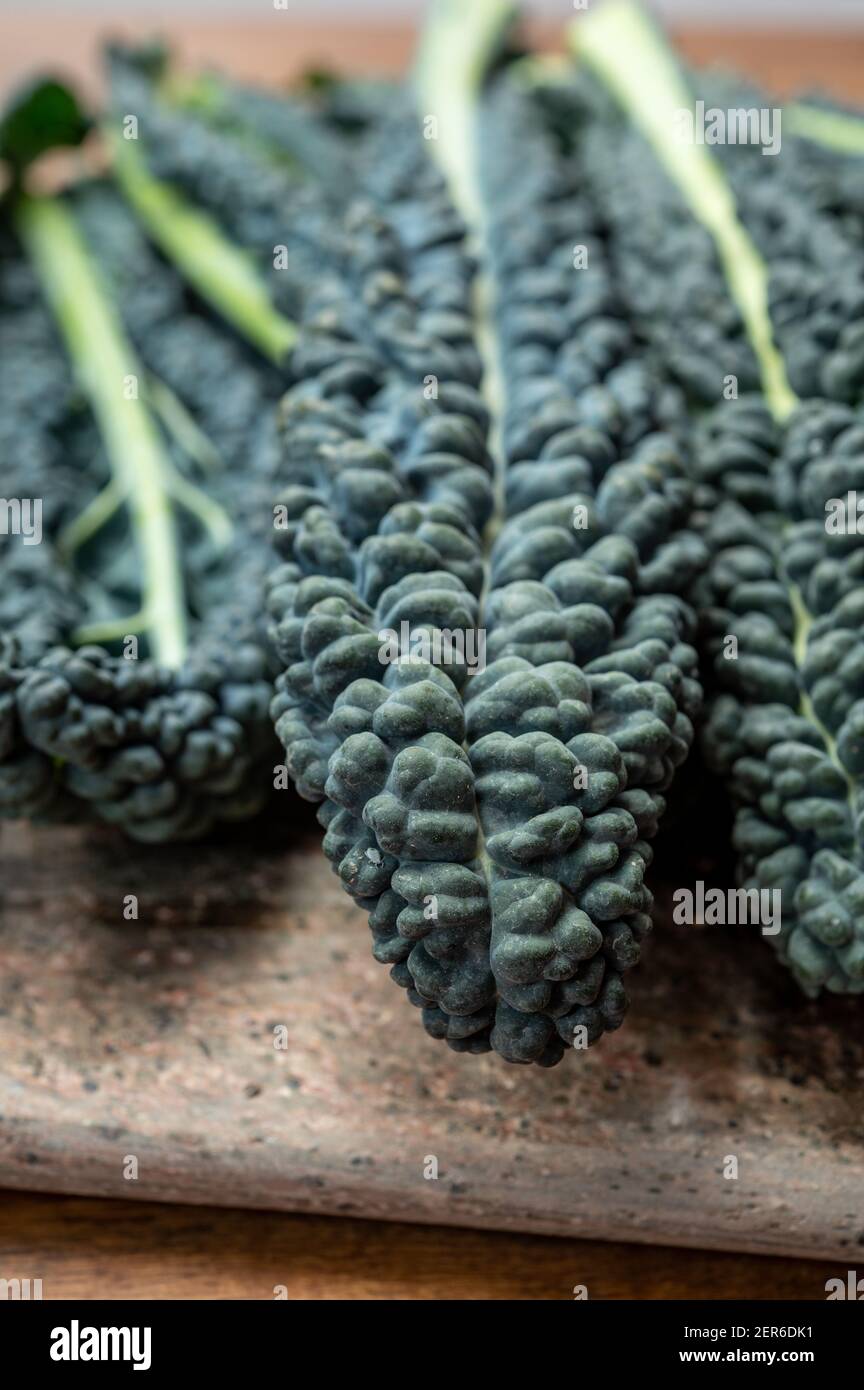 Vegetarian cooking with black flat leaves of cavolo nero tuscan cabbage ...