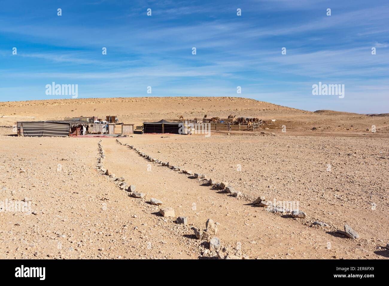 Camel riding israel hi-res stock photography and images - Alamy