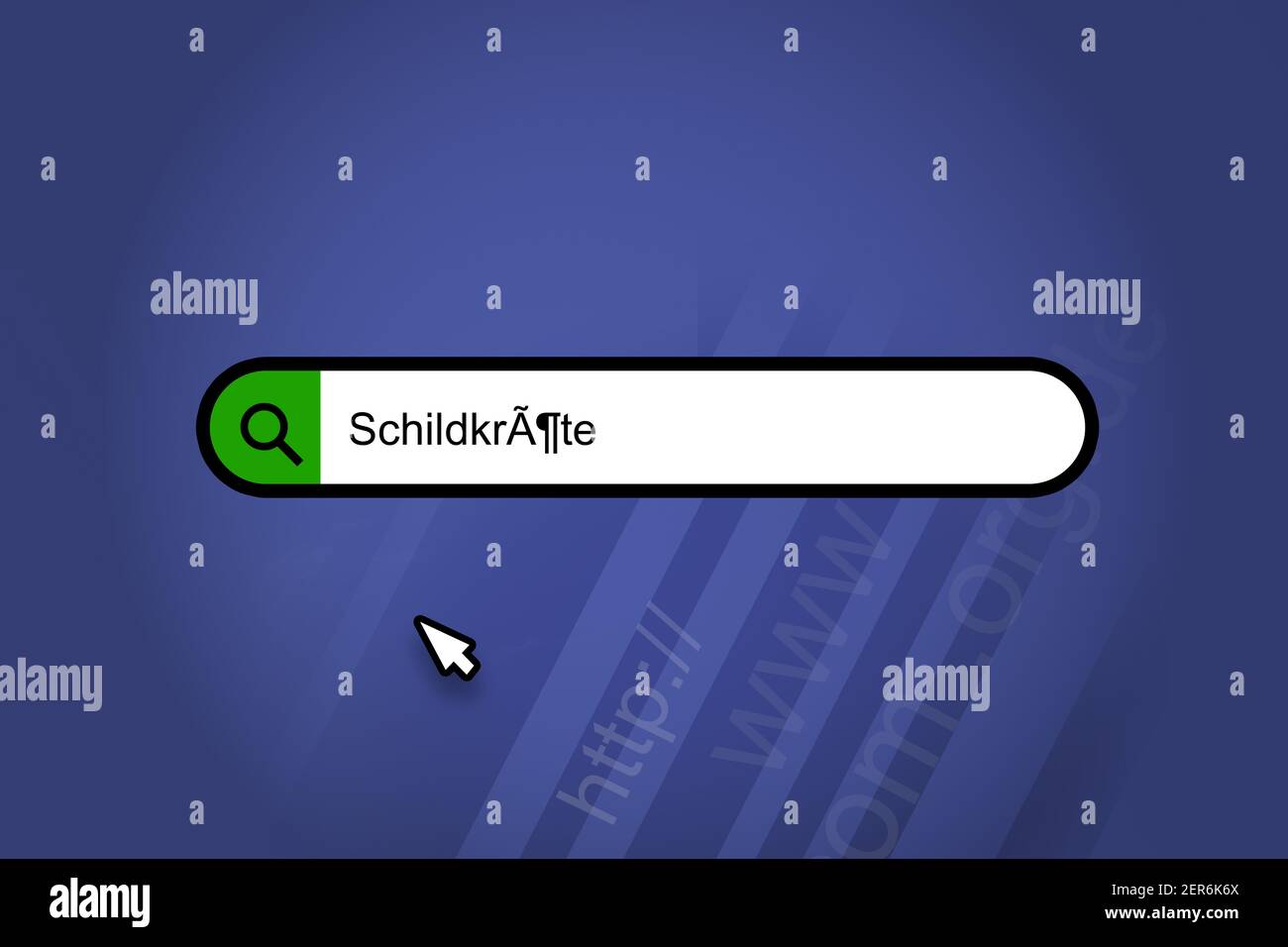 Schildkr├Âte - search engine, search bar with blue background Stock Photo - Alamy