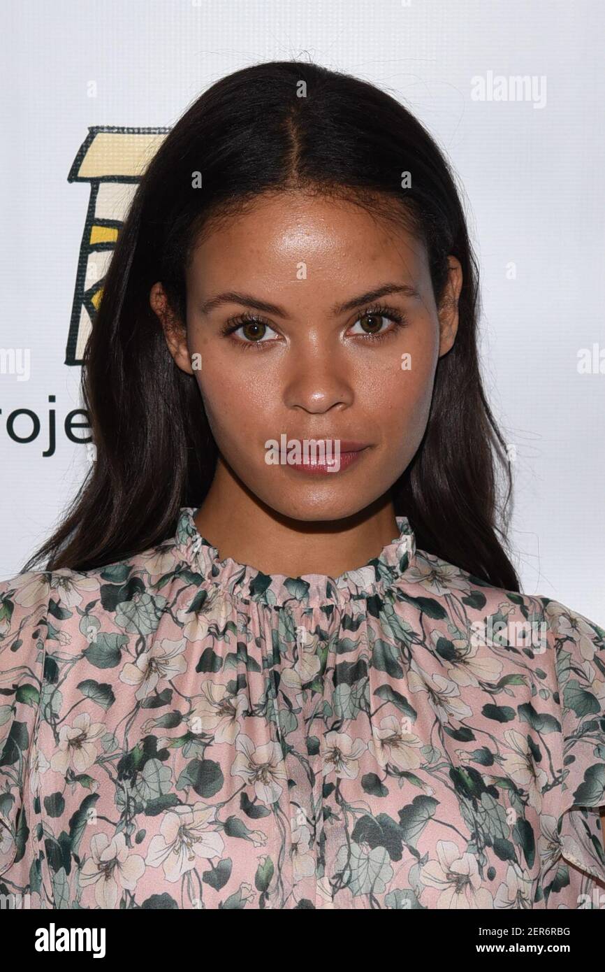 Danielle Herrington attends Project Sunshine 15th Annual Benefit ...