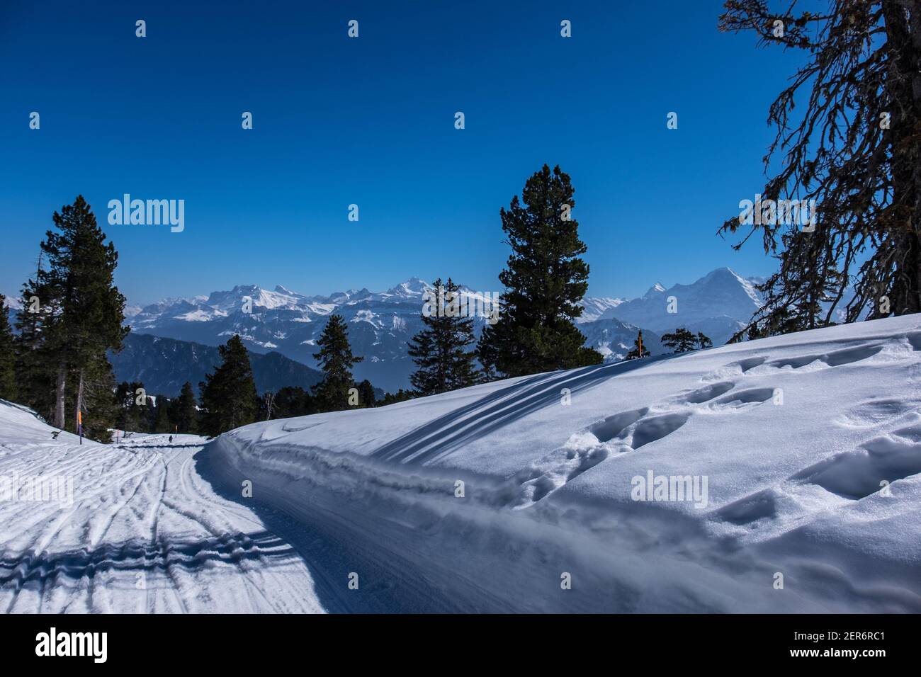 Landscape panoramic view of the Swiss Alps covered by snow, shot near ...
