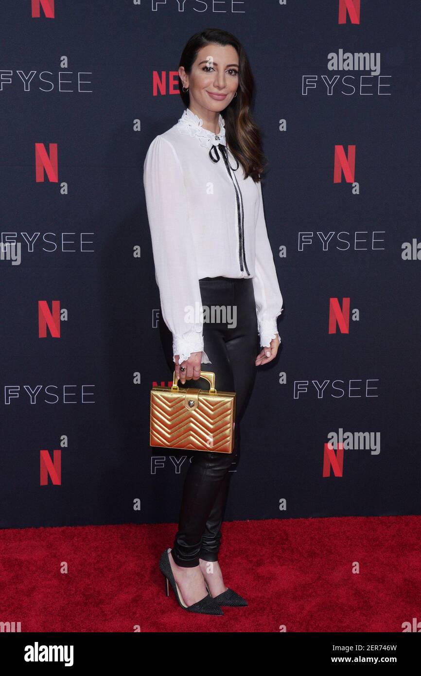 Nasim Pedrad Er