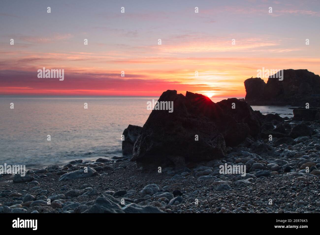 Trow hi-res stock photography and images - Alamy