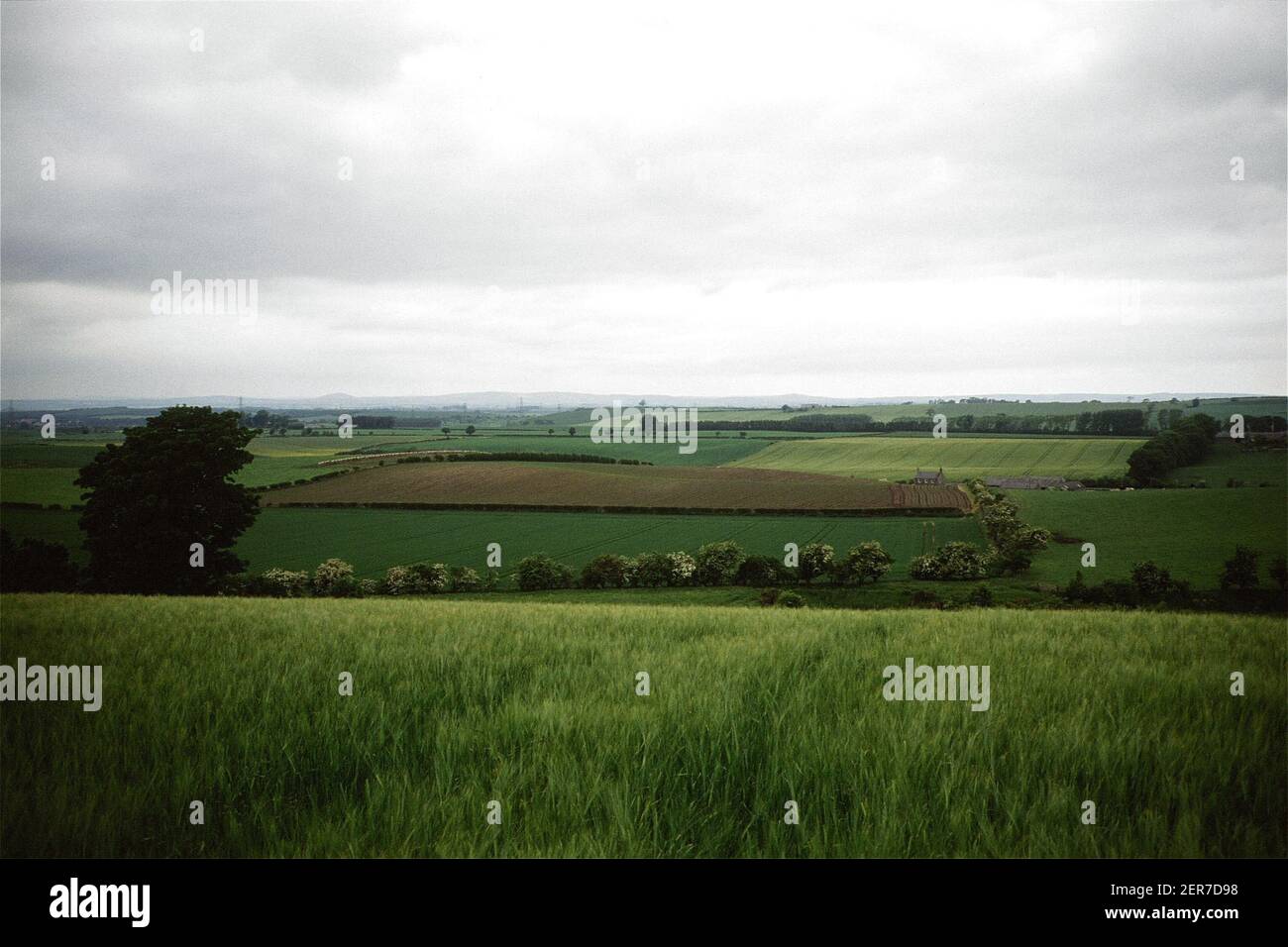 Flodden field hi-res stock photography and images - Alamy