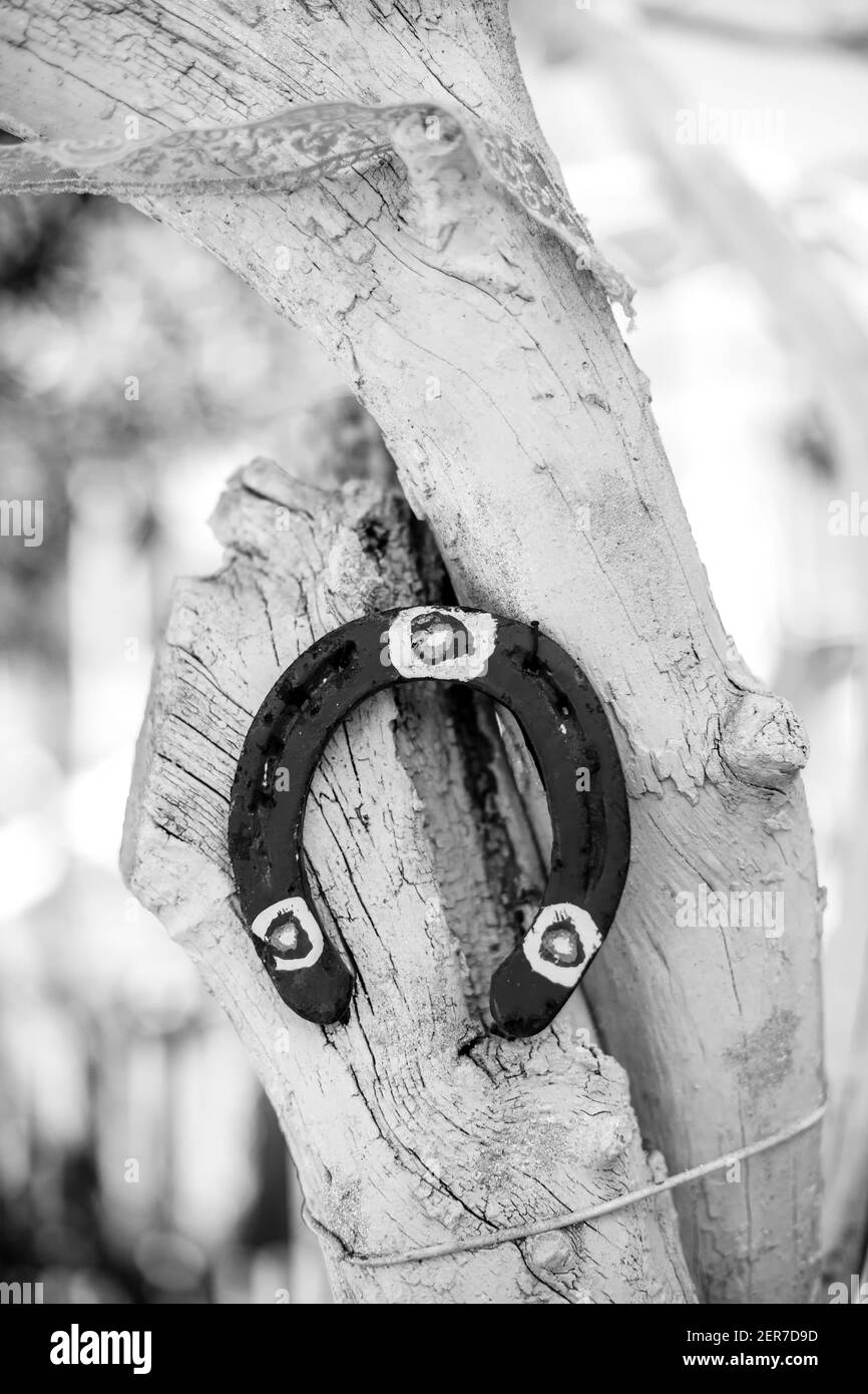 Old horseshoe as a symbol of luck Black and White Stock Photos & Images ...