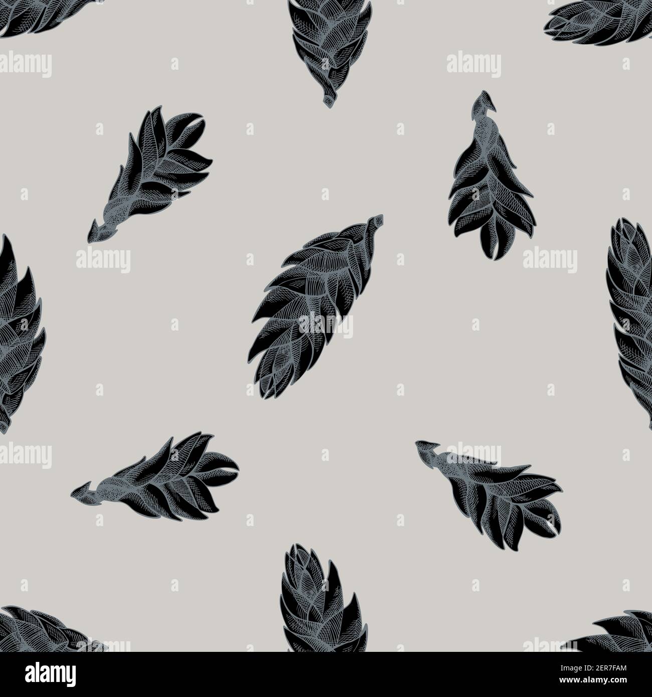 Tropical bromeliad Stock Vector Images - Alamy