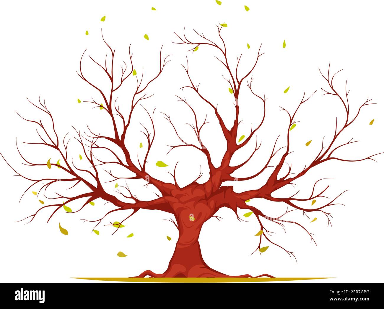 Huge tree with large trunk, bare branches and roots, falling leaves ...