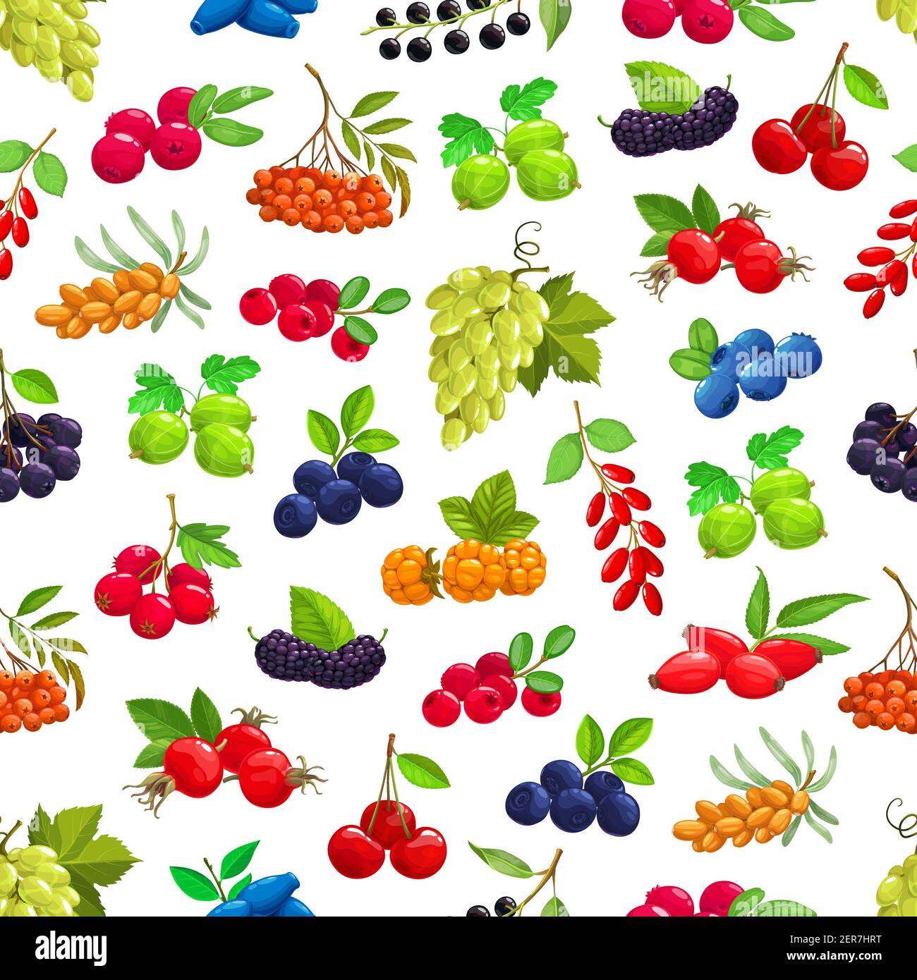 Black mulberry fruit Stock Vector Images - Alamy